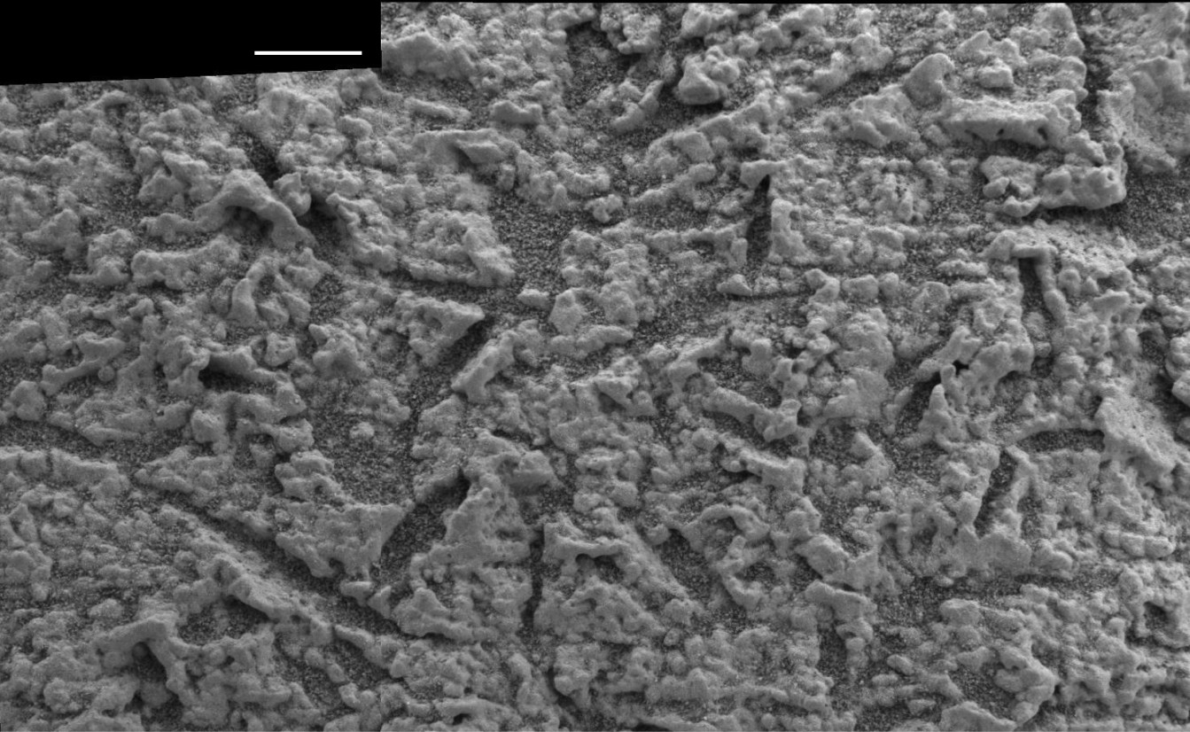 Evidence for sedimentary rocks on Mars - Geological Digressions